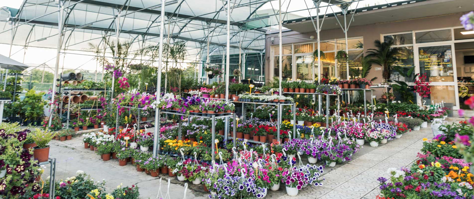 Floraplant & Garden Center - Χανιά - Καλύβες